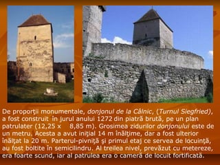 Cetatea taraneasca de la Câlnic | PPS