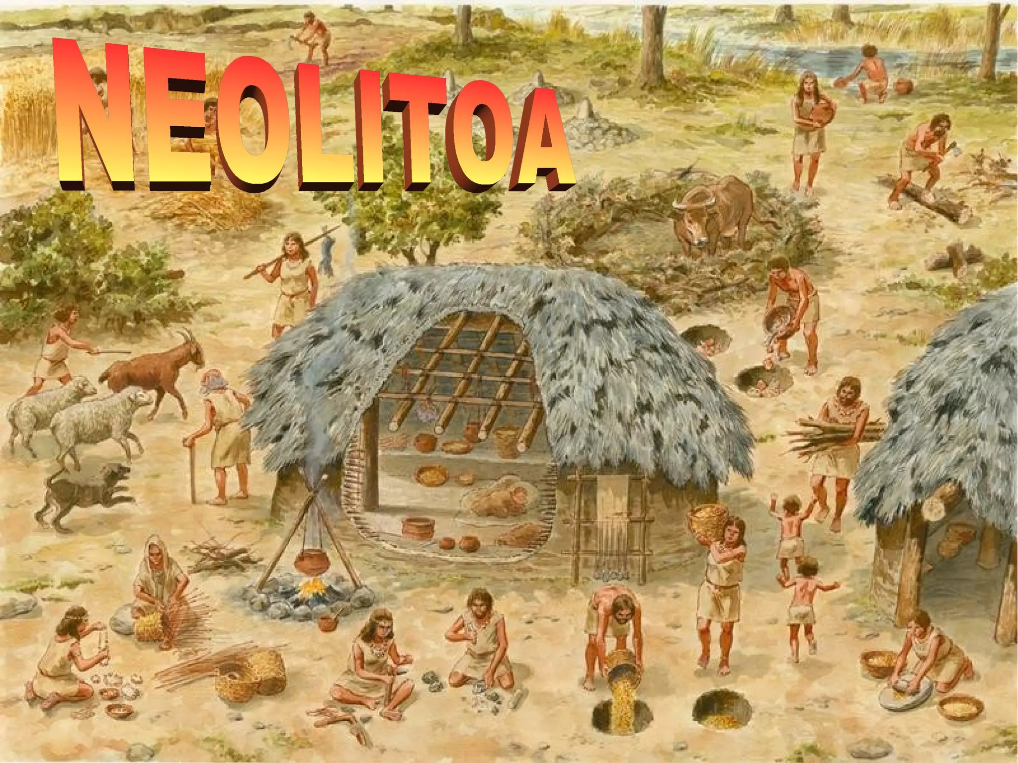 Neolitoa | ODP