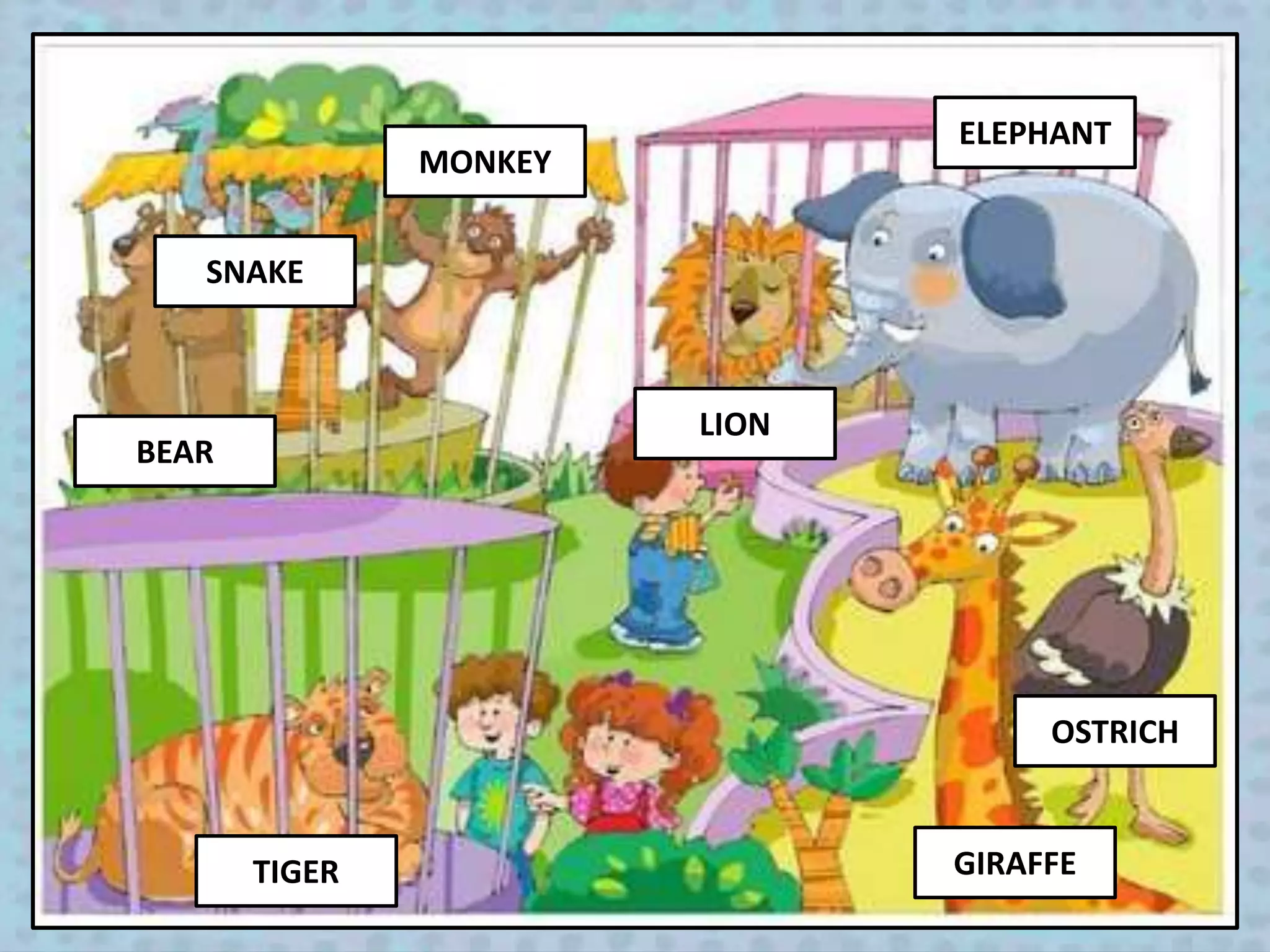 Animals in the zoo | PPT