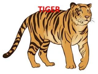 Animals in the zoo | PPTX