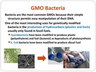 Genetic Engineering Power point | PPT