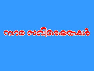 SUBINA Power point | PPT