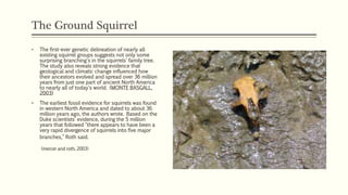 Geology Power Point | PPT