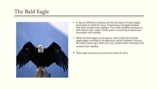 Geology Power Point | PPT