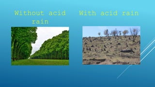 Acid Rain - A Killer Rain | PPTX