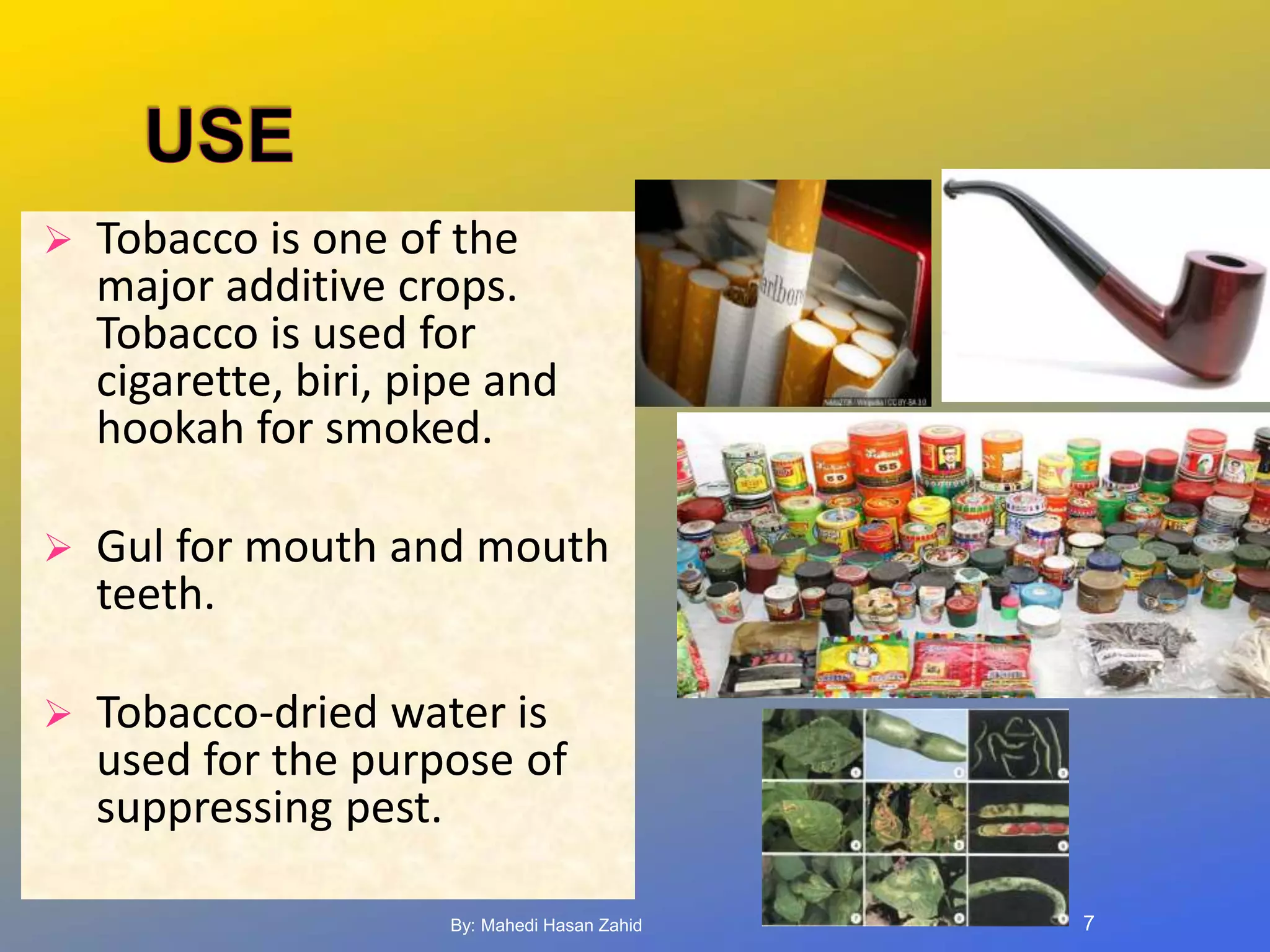 Tobacco production in Bangladesh. | PPTX