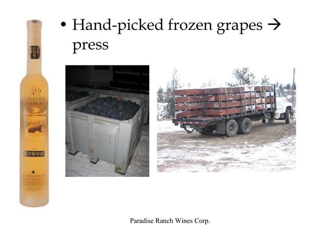 Paradise Ranch Wine Corp & Whistler Icewine | PPT
