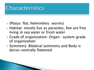 Phylum platyhelminthes characteristics and classification | PDF | Biological Sciences | Science