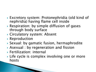 Phylum platyhelminthes characteristics and classification | PDF