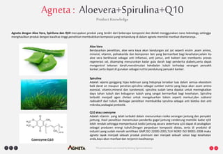 Marketing Plan Agneta | PPT