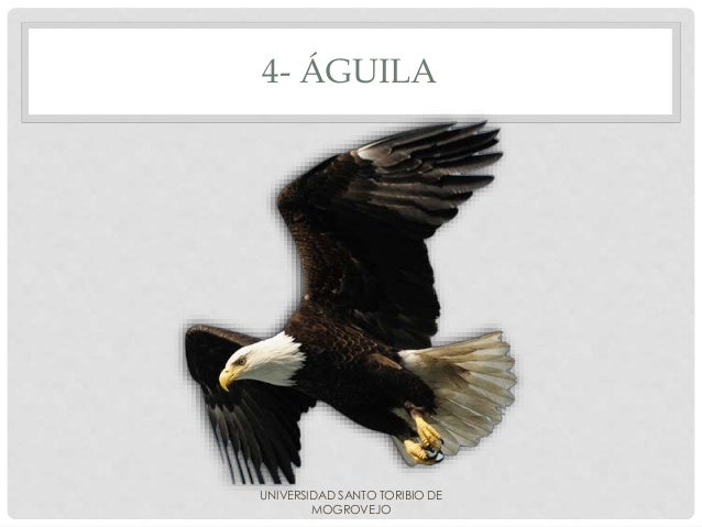 Animales con la letra A