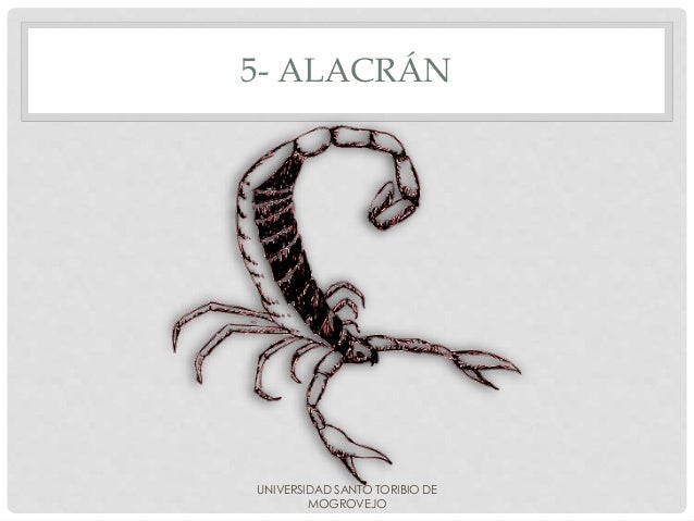 Animales con la letra A