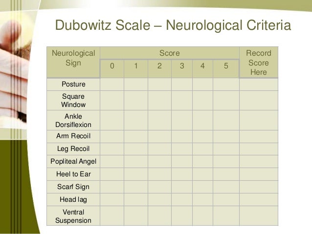 Power point -_assessment_of_the_neonate (1)