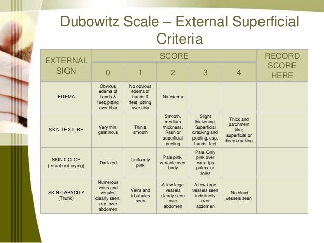 Power point -_assessment_of_the_neonate (1)