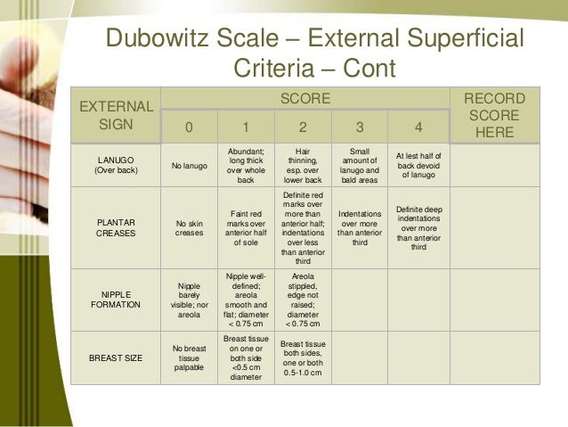 Power point -_assessment_of_the_neonate (1)