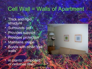 Cell Analogy | PPT | Biological Sciences | Science