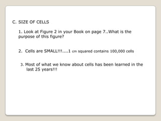 Powerpoint...cells | PPTX | Biological Sciences | Science