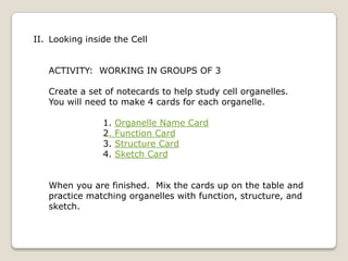 Powerpoint...cells | PPTX