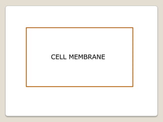 Powerpoint...cells | PPTX | Biological Sciences | Science