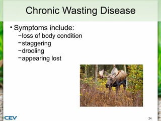 PowerPoint-CommonDiseasesParasitesofWildlifeDownloadableVersion.pptx