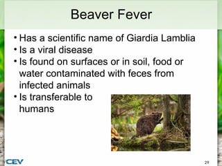 PowerPoint-CommonDiseasesParasitesofWildlifeDownloadableVersion.pptx