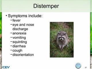 PowerPoint-CommonDiseasesParasitesofWildlifeDownloadableVersion.pptx