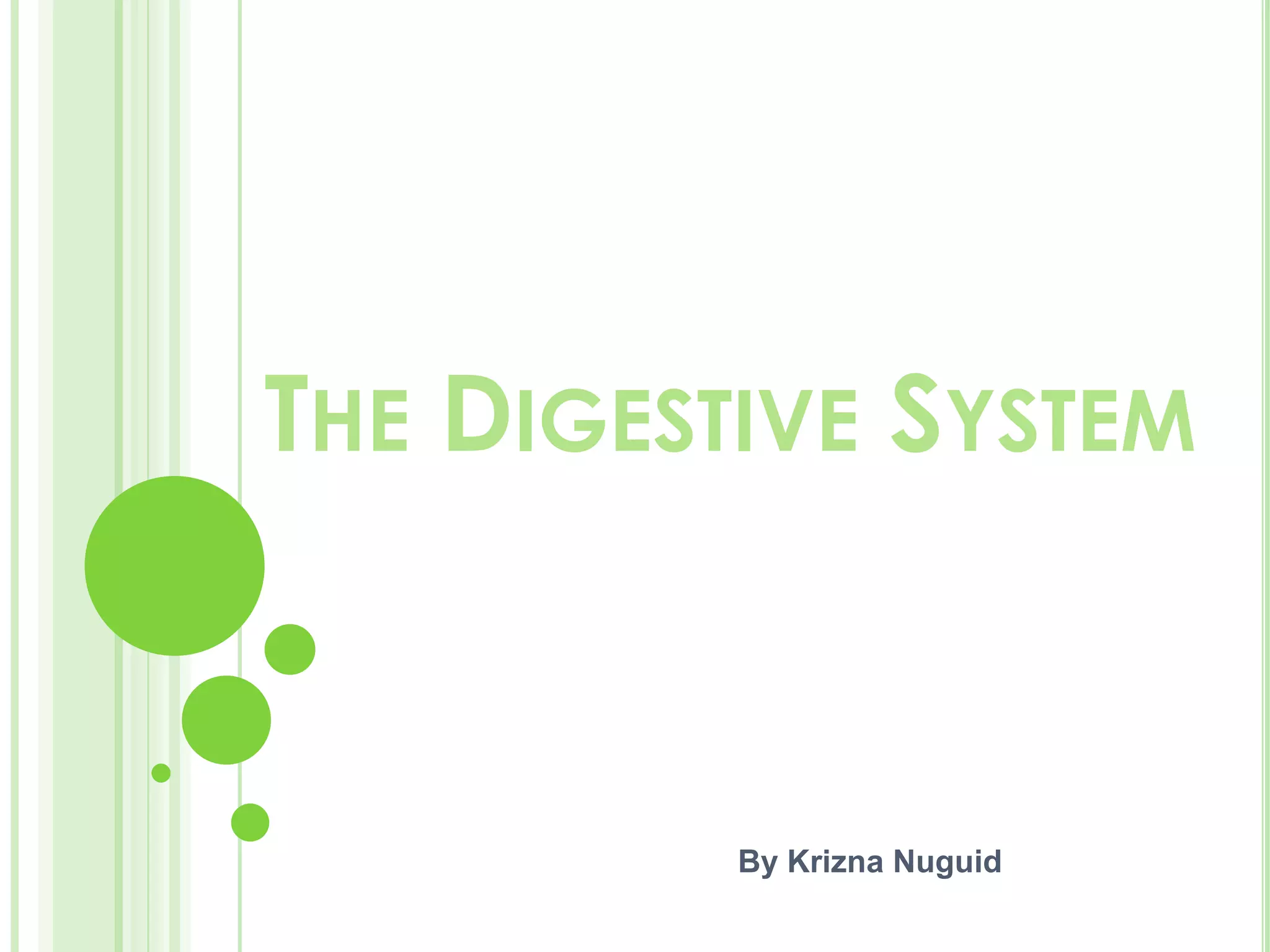 Power point digestive system | PPT