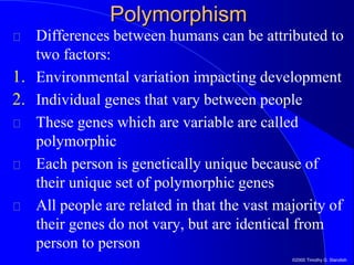 DNA-FINGERPRINTING-PCR MOLECULAR Biology | PPT