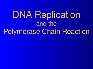 powerpoint-dna-replication-pcr. Real time PCR | PPT