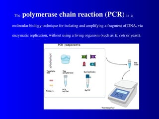 powerpoint-dna-replication-pcr. Real time PCR | PPT