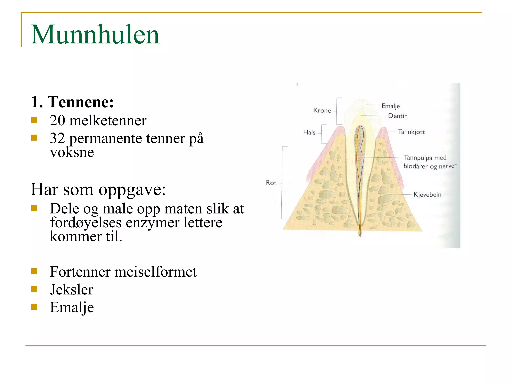 Powerpoint Fordoeyelsen | PPT
