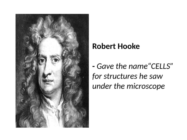 powerpoint-foreign-biologist-Autosaved.pptx