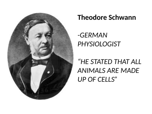 powerpoint-foreign-biologist-Autosaved.pptx