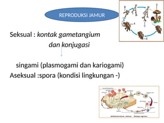 POWERPOINT-KINGDOM FUNGI KELAS X SMA.pptx