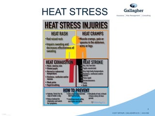 -heat-stress-and impacts on human health | PPTX