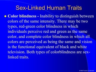 powerpoint-human-genetics.ppt