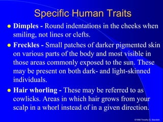 powerpoint-human-genetics.ppt