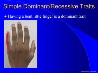 powerpoint-human-genetics.ppt