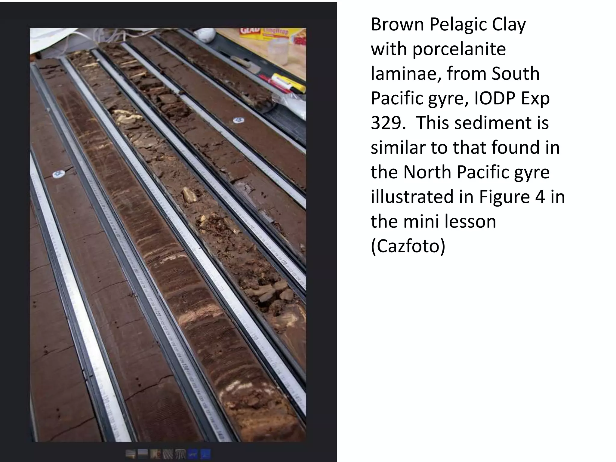 Powerpoint Illustrating Deep Sea Sediment Types | PPTX | Geography ...
