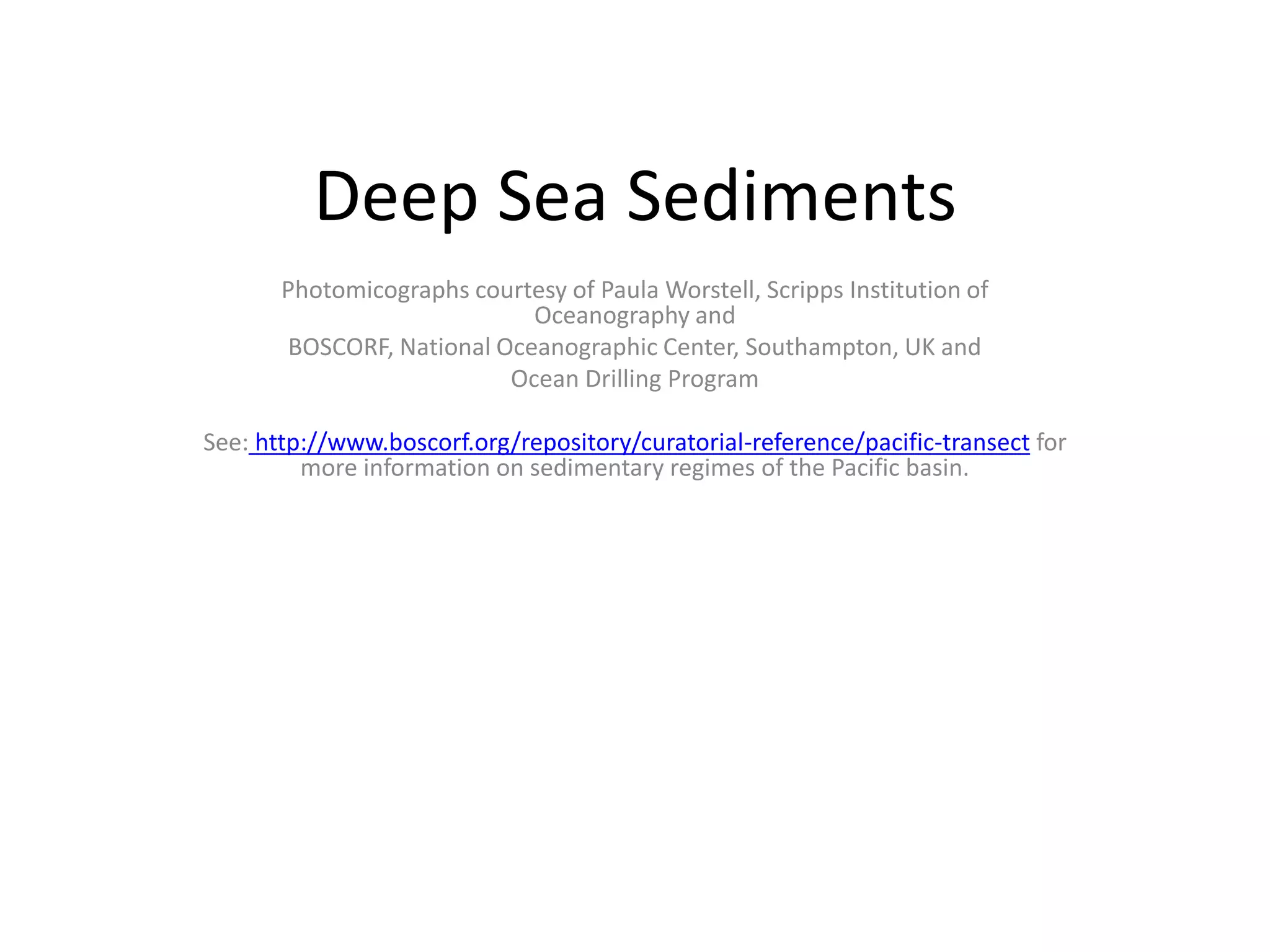 Powerpoint Illustrating Deep Sea Sediment Types | PPT