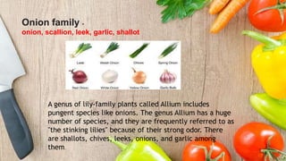 Powerpoint-in-TLE-10-1.pptx