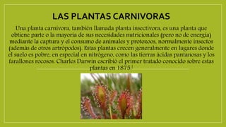 PLANTAS CARNIVORAS | PPTX