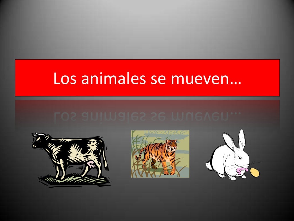 Power point.los animales