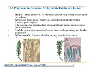 PowerPoint - Lumut.pdf