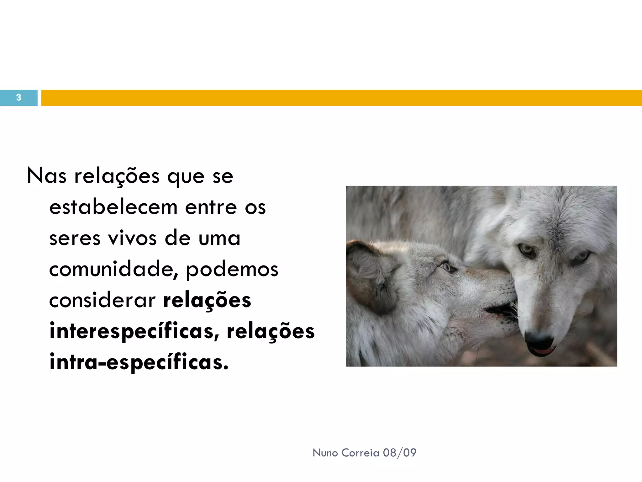 Powerpoint Nr. 3 InteracçõEs Seres Vivos Factores Do Ambiente RelaçõEs ...