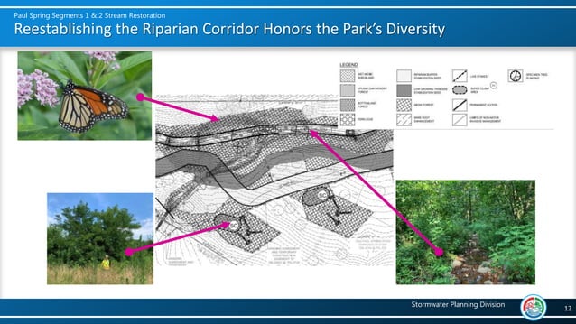 Paul Springs Segment 1 & 2 Stream Restoration | PPT
