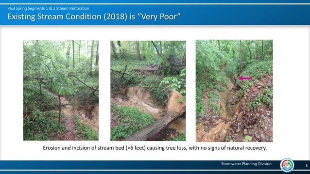 Paul Springs Segment 1 & 2 Stream Restoration | PPT