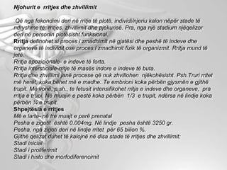 Njohuri te pergjithshme rreth PEDODONCIS | PPTX