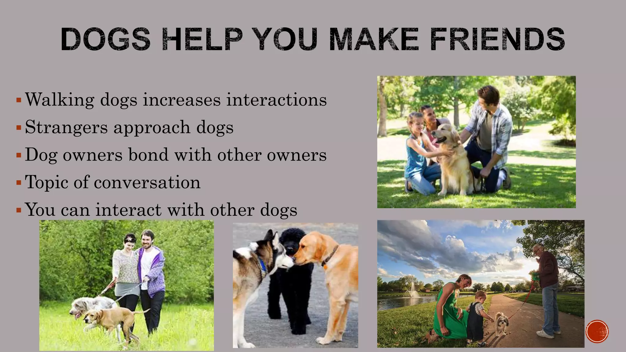 Dogs Make the Best Pet | PPTX