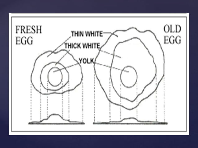 Power point prepare egg dishes | PPTX